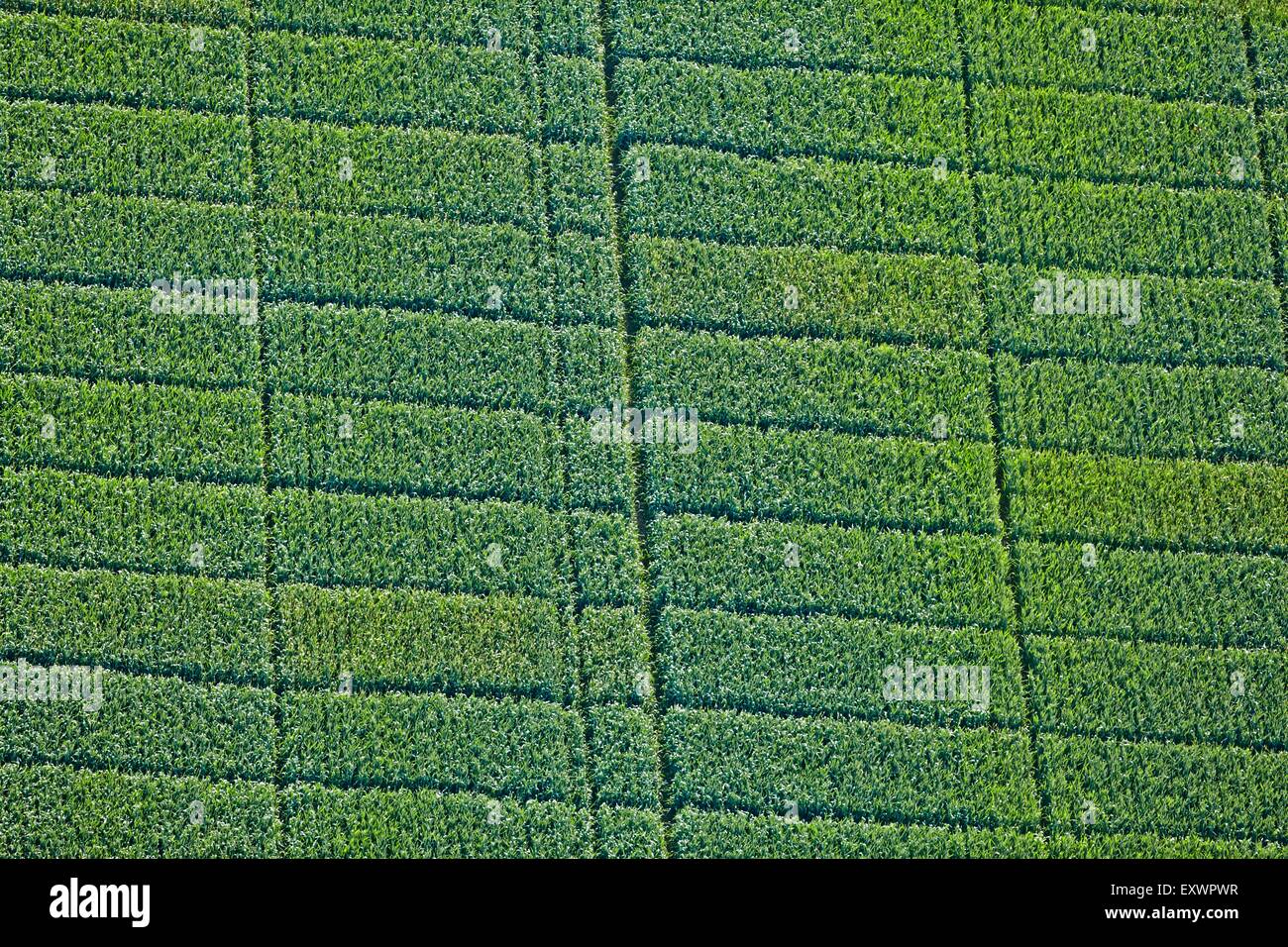 Parceled field hi-res stock photography and images - Alamy
