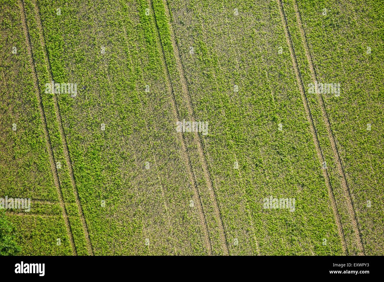 Tyre tracks in field, Baden-Wuerttemberg, Germany, aerial photo Stock ...
