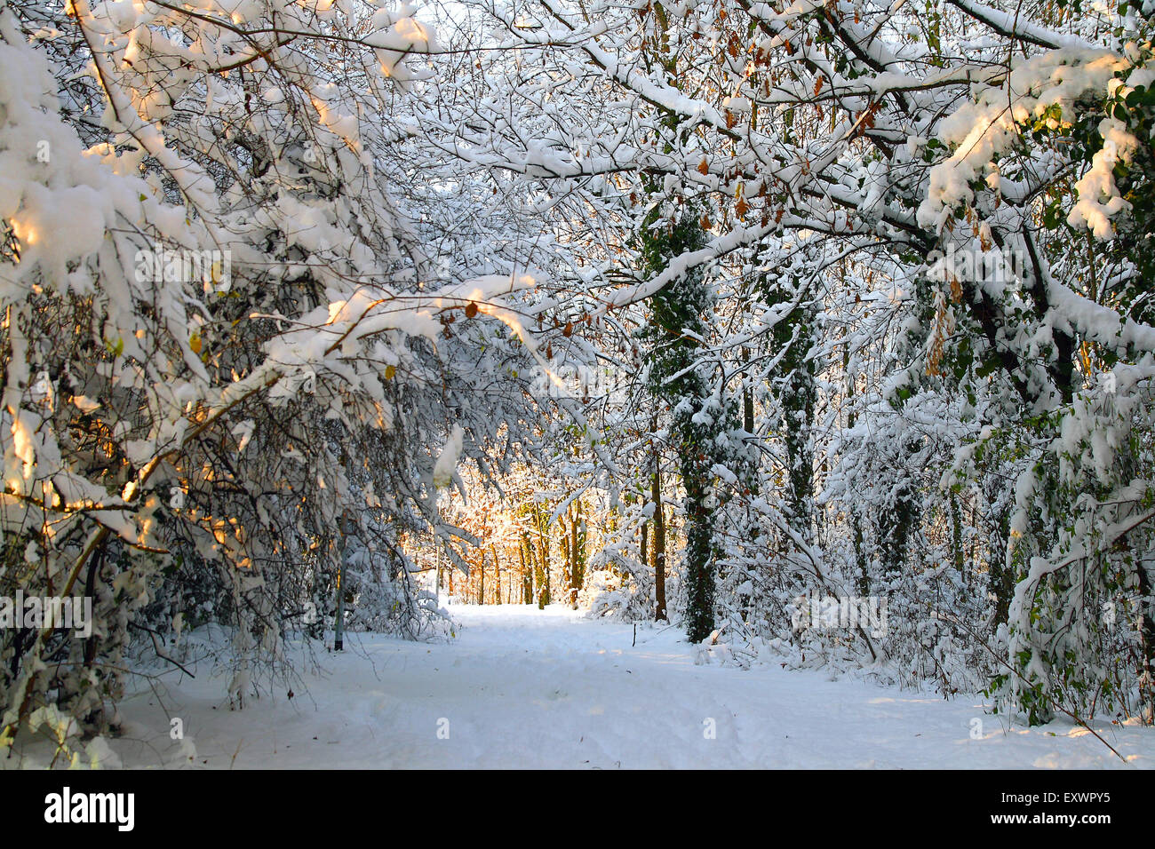 Narnia snow hi-res stock photography and images - Alamy