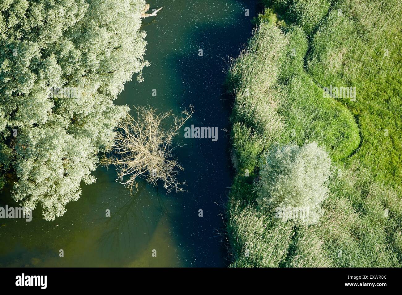 Mouth of Seefelder Aach into Lake Constance, Baden-Wuerttemberg ...