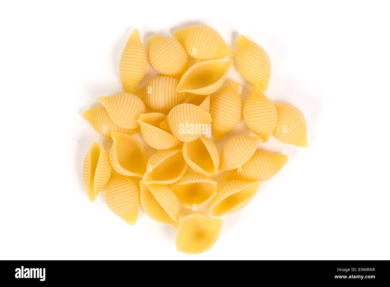Conchiglie rigate hi-res stock photography and images - Alamy
