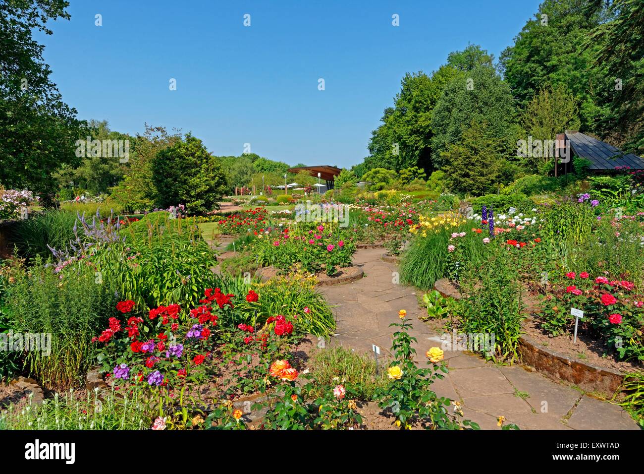 Rosengarten, Zweibruecken, Rhineland-Palatinate, Germany, Europe Stock ...