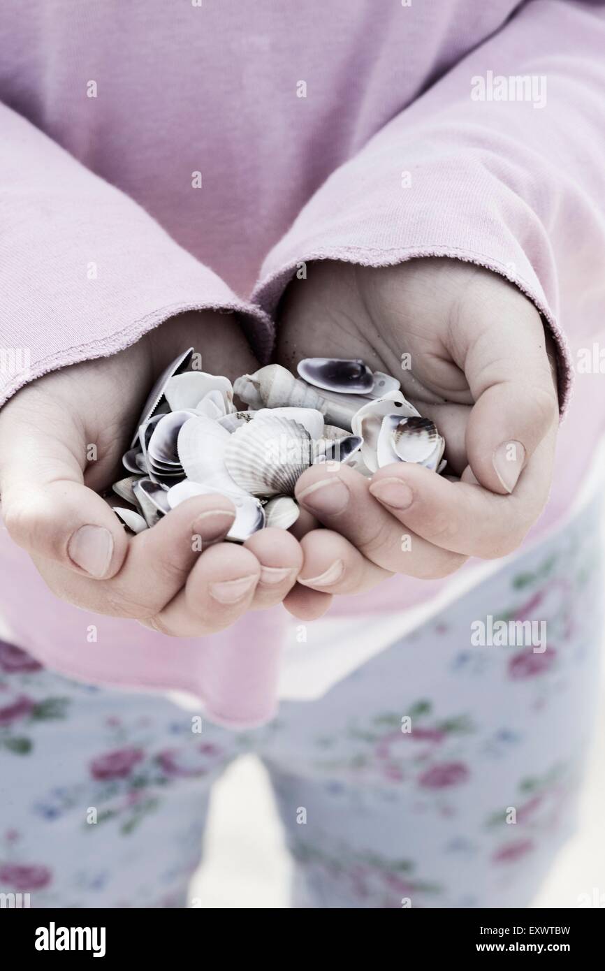 Girl collecting shells in her hand Stock Photo - Alamy