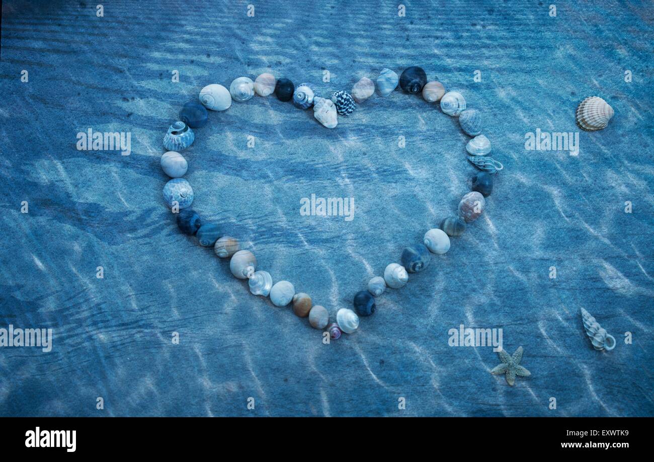 Love shells hi-res stock photography and images - Alamy