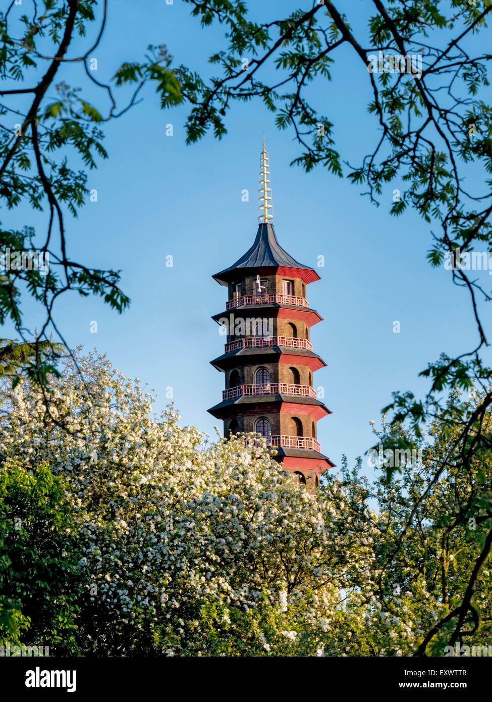 Kew gardens spring hi-res stock photography and images - Alamy