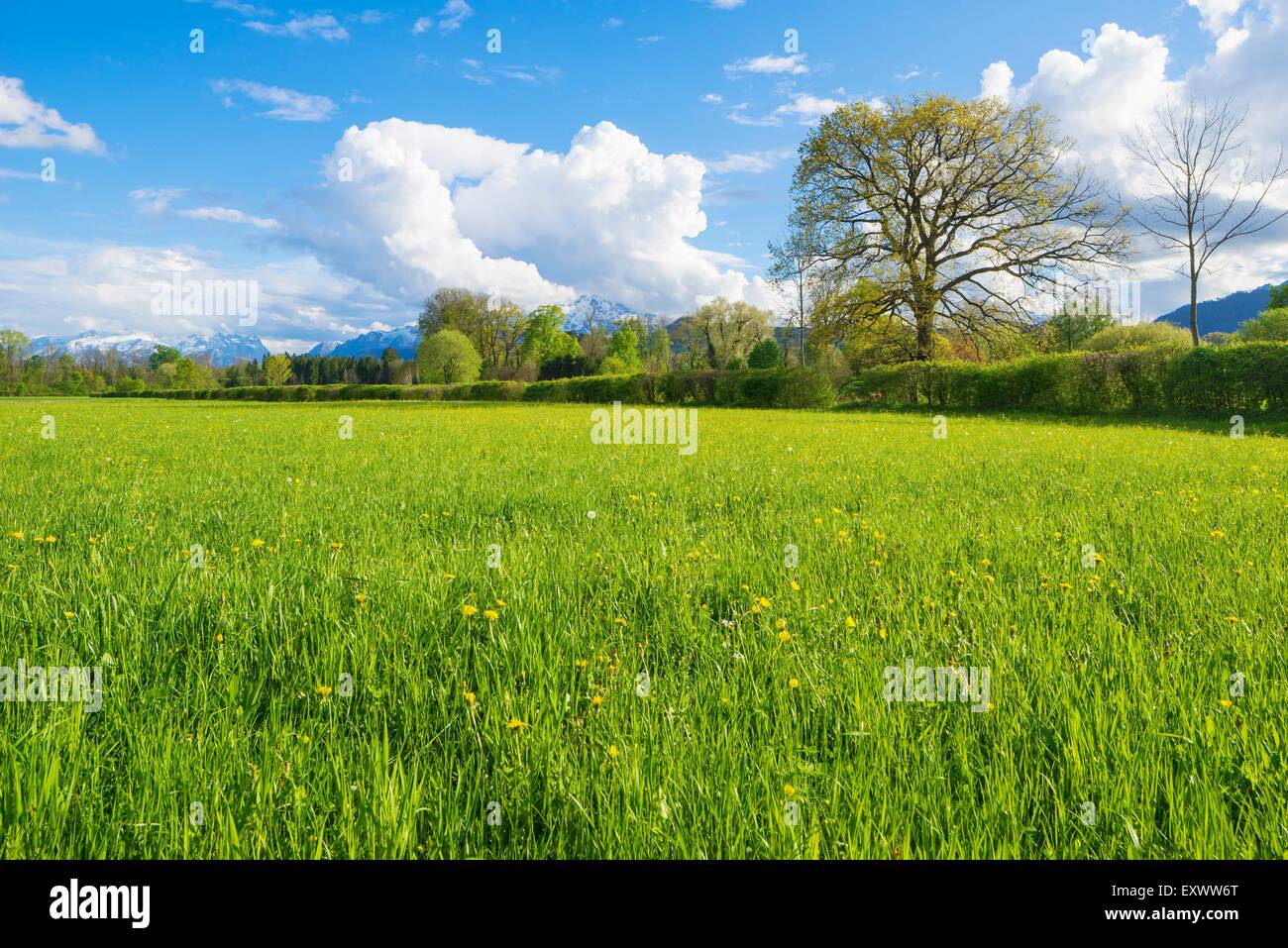 Spring in salzburg hi-res stock photography and images - Alamy