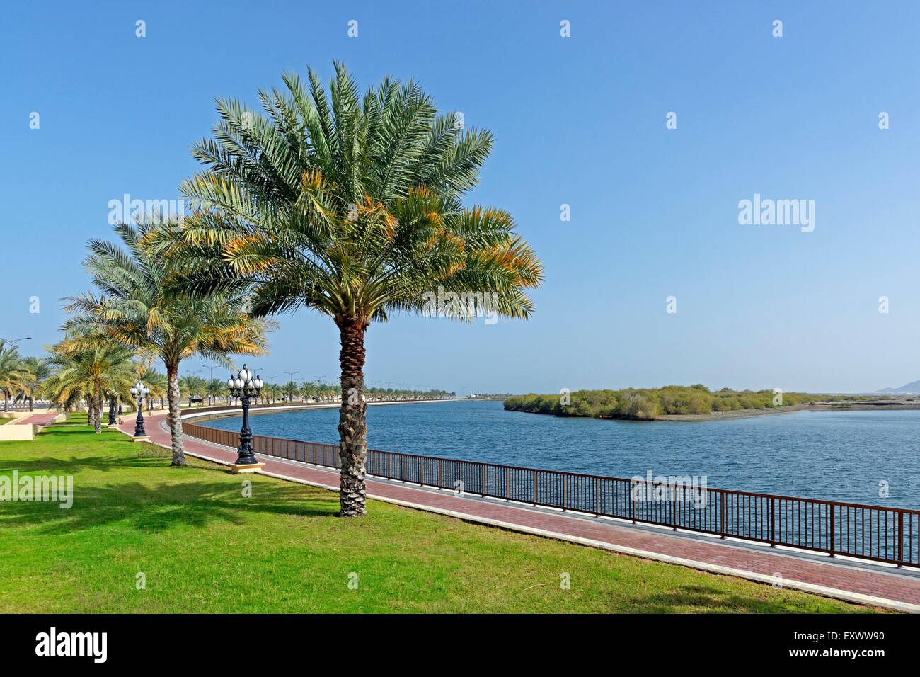Promenade with palm trees, Khor Kalba, Sharjah, United Arab Emirates ...