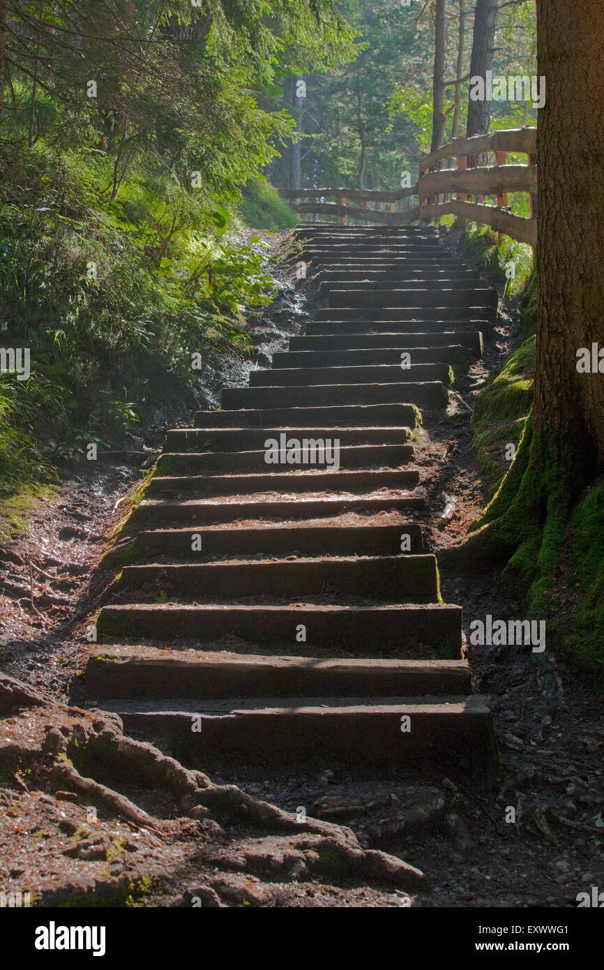 Outside stair stairs forest hi-res stock photography and images - Alamy