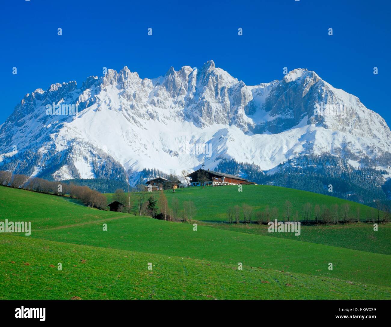 Farm, Wilder Kaiser, Tyrol, Austria, Europe Stock Photo - Alamy