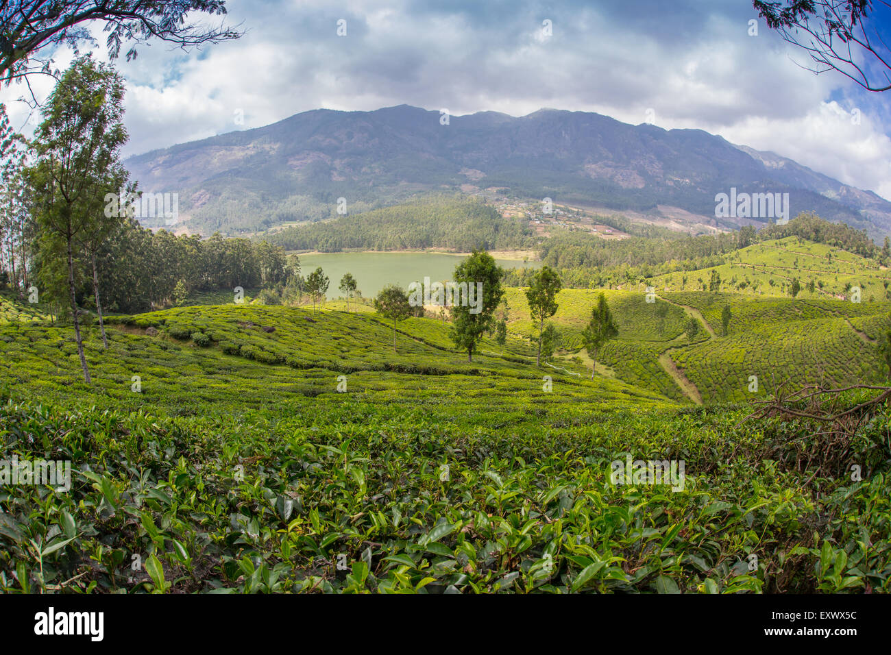 Cameron highlands sunrise hi-res stock photography and images - Alamy