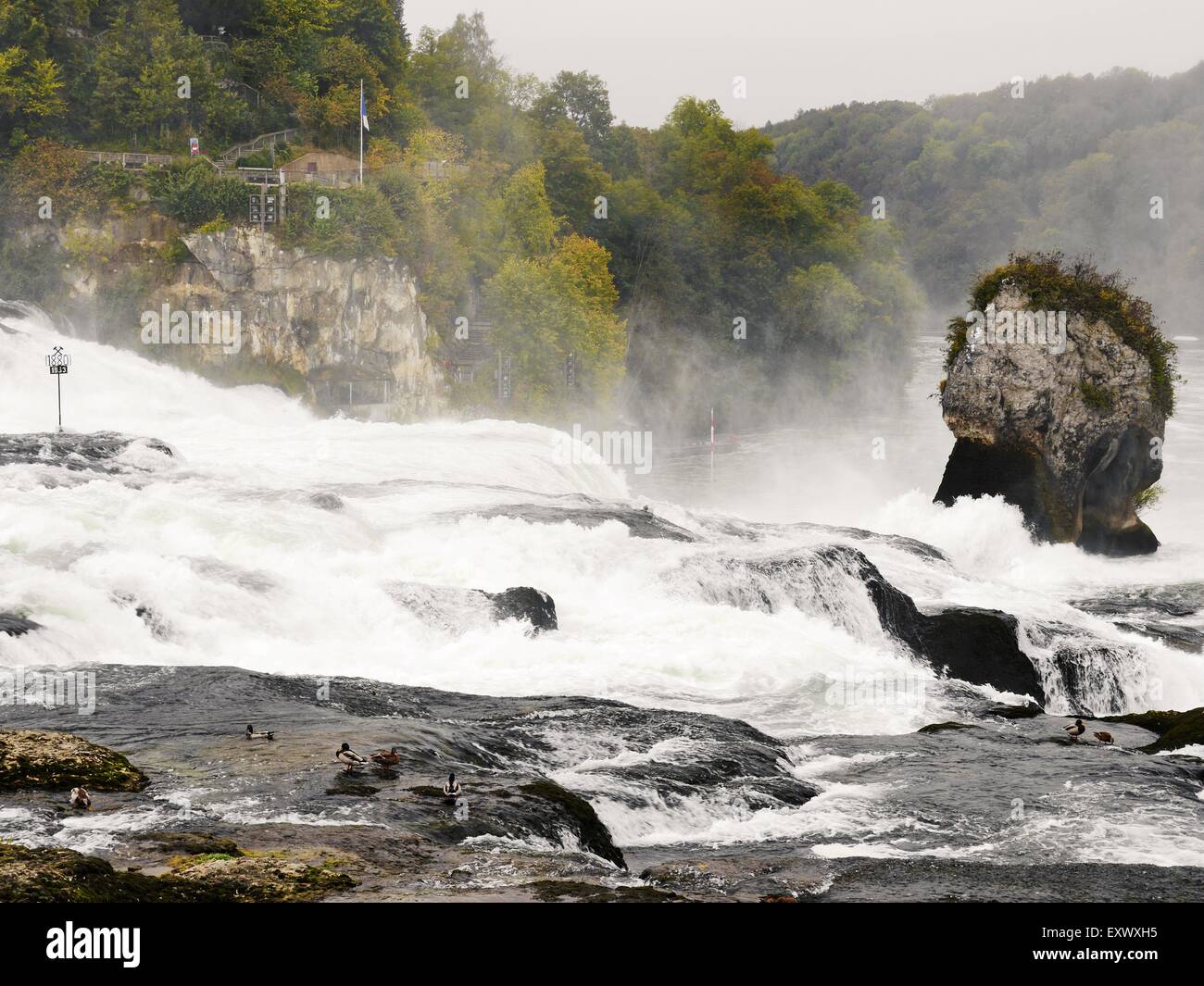 Falls in switzerland hi-res stock photography and images - Alamy