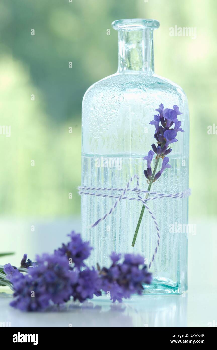 Lavender water hi-res stock photography and images - Alamy