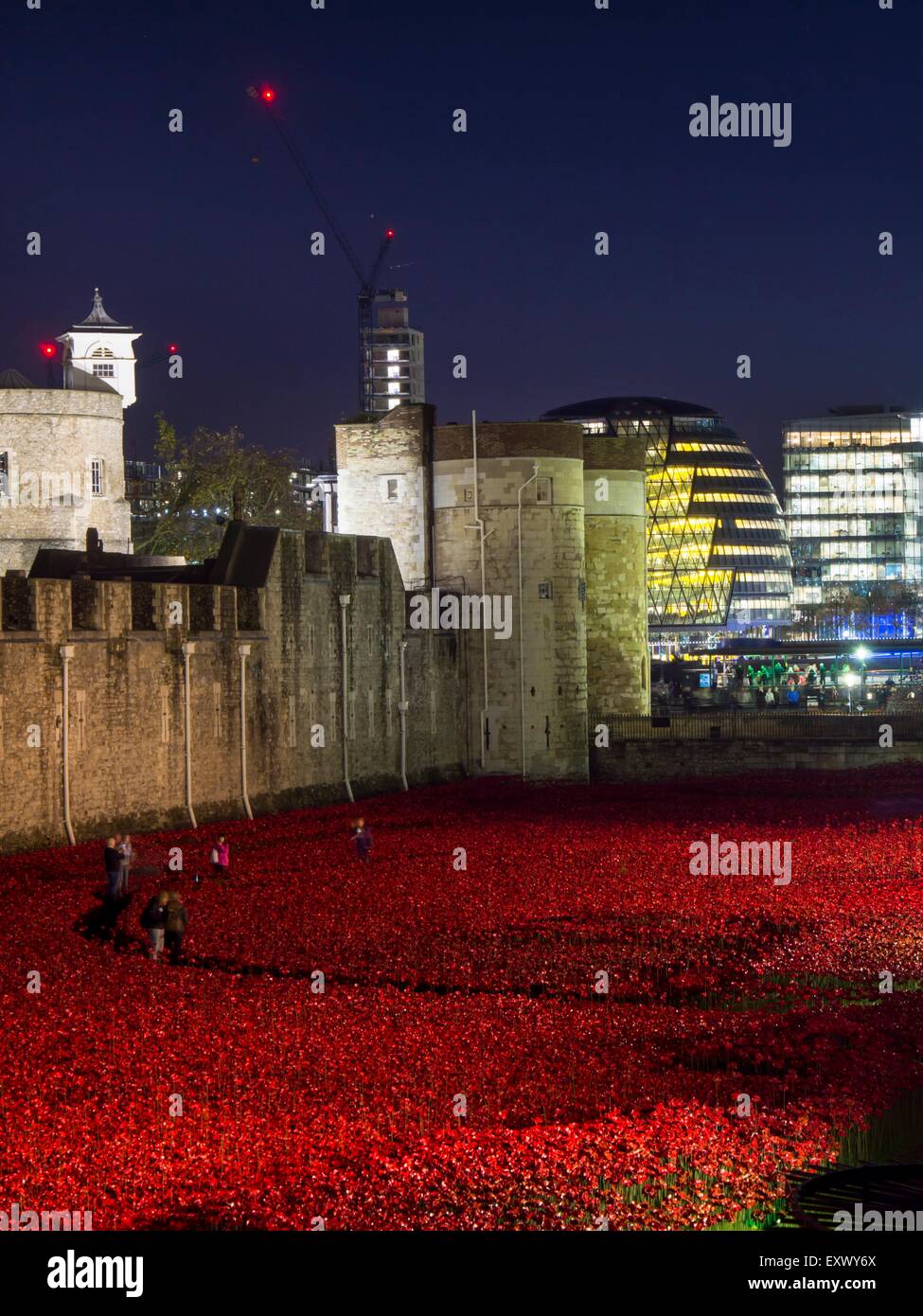 Poppy installation at Tower of London at night, London, UK Stock Photo ...
