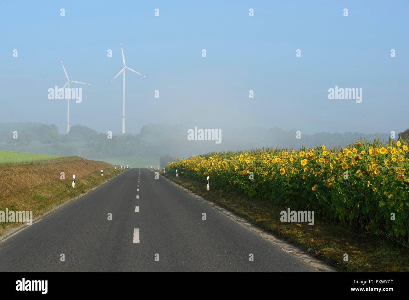 Field upper bavaria hi-res stock photography and images - Alamy