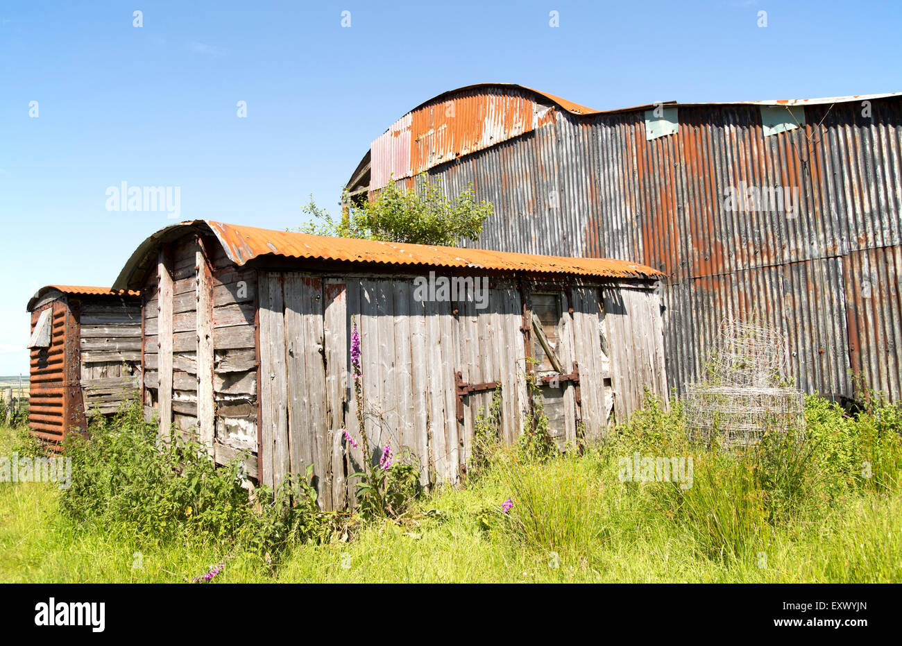 Rusty corrugated iron old farm hi-res stock photography and images - Alamy