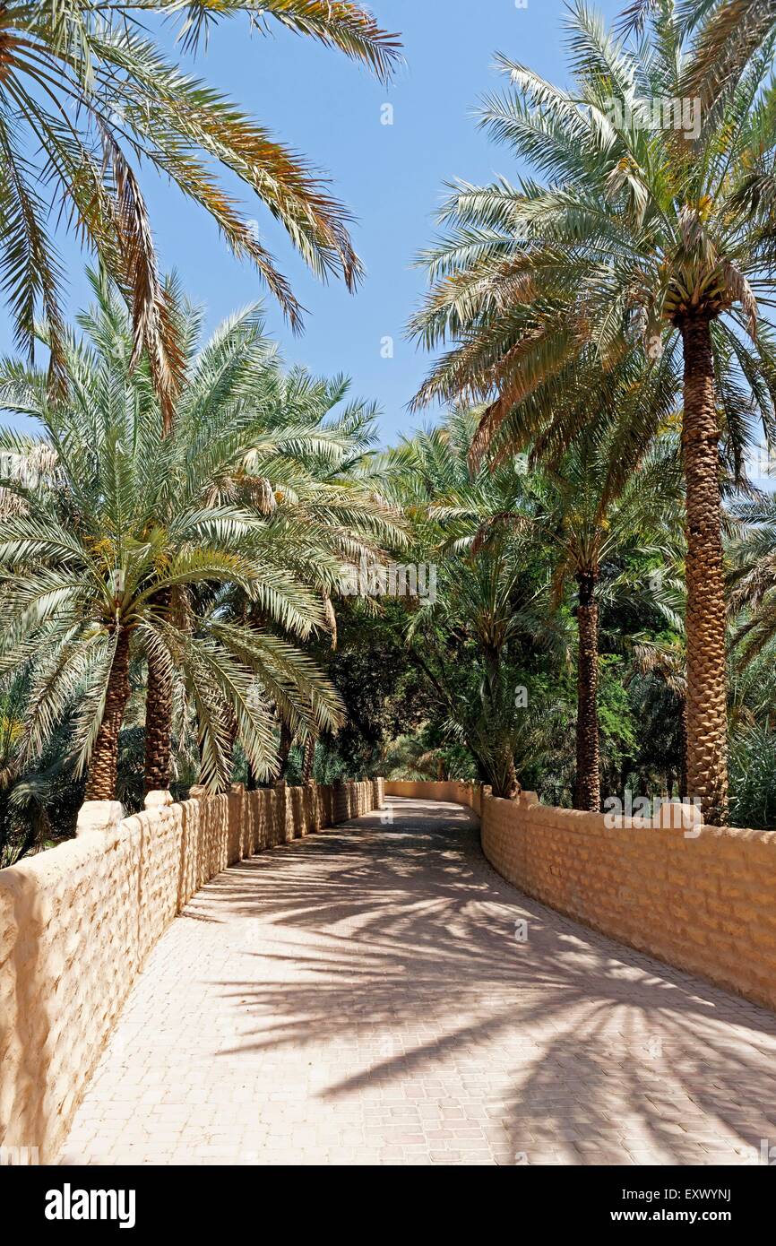 Al Ain Oasis, Al Ain, Abu Dhabi, United Arab Emirates Stock Photo - Alamy