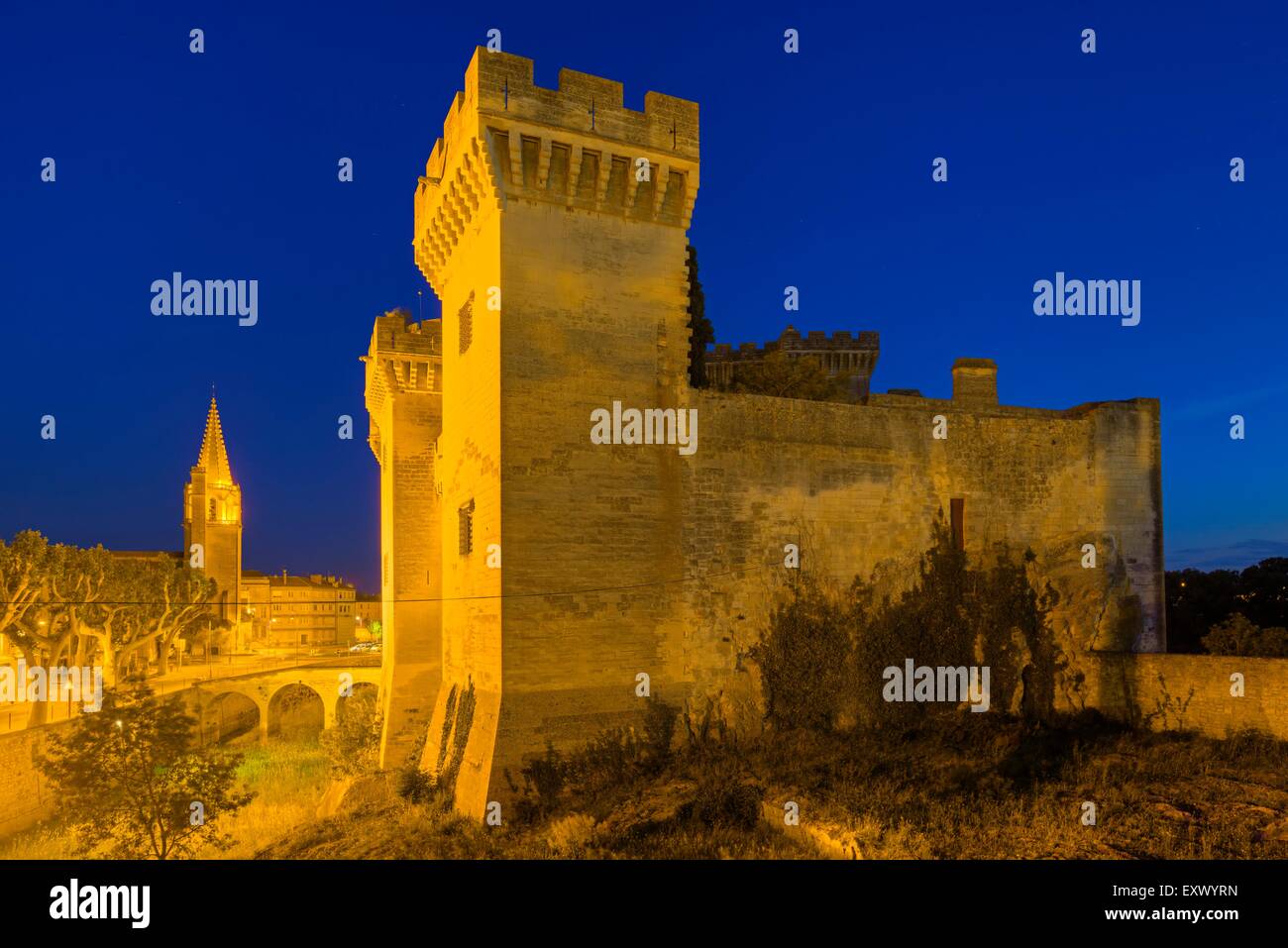 Castle, Tarascon, Bouches-du-Rhone, Provence - Alpes-Cote d Azur ...