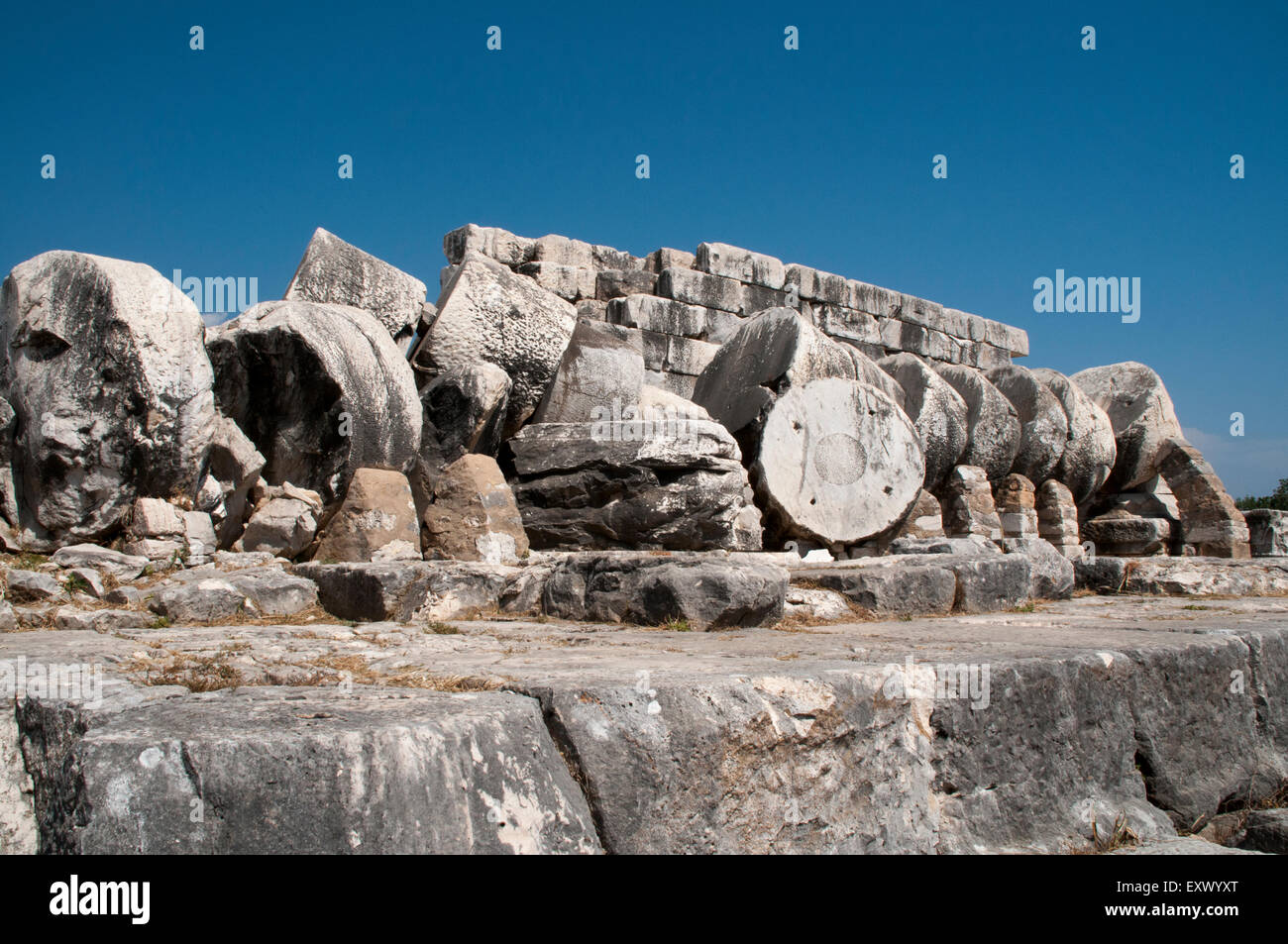 Didyma was an 109 meter long and 51 meter wide sanctuary with 120 ...