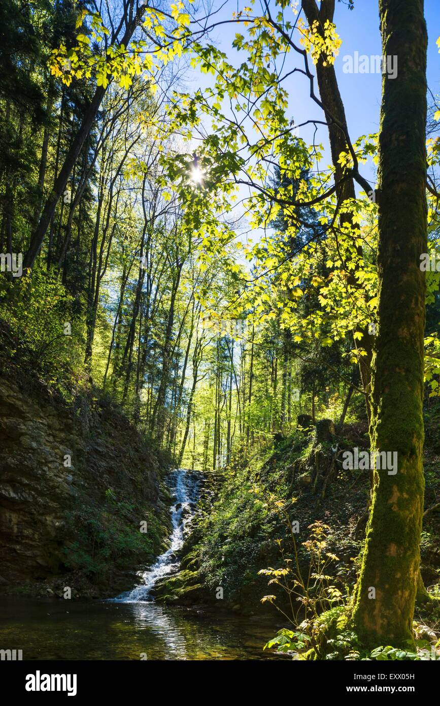 Waterfall of a brook in St. Jakob am Thurn, Austria Stock Photo - Alamy