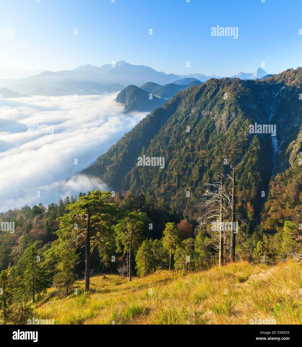 Marktschellenberg hi-res stock photography and images - Alamy