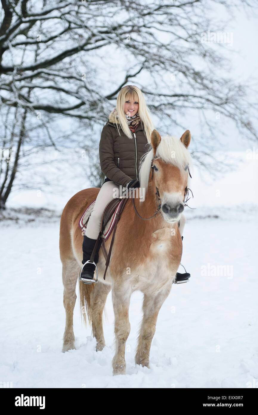 Young woman riding Haflinger horse in snow Stock Photo - Alamy