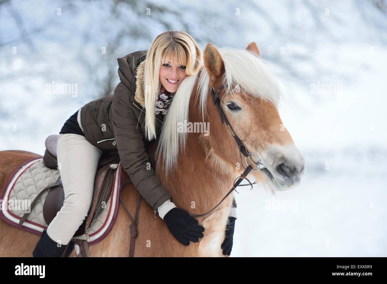 Young woman riding haflinger horse hi-res stock photography and images ...