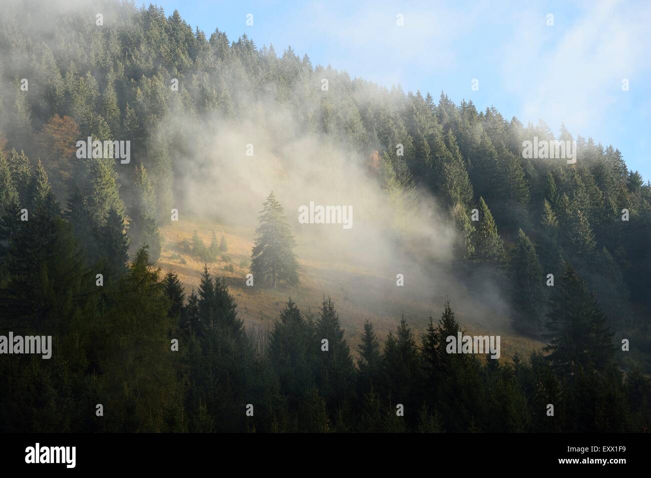 Fog europe hi-res stock photography and images - Alamy