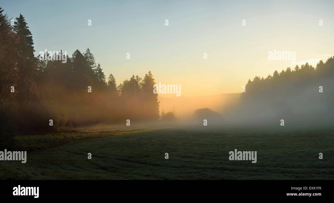 Bavaria forest national park hi-res stock photography and images - Alamy
