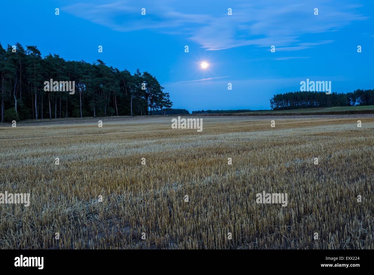Moon night sky field hi-res stock photography and images - Alamy