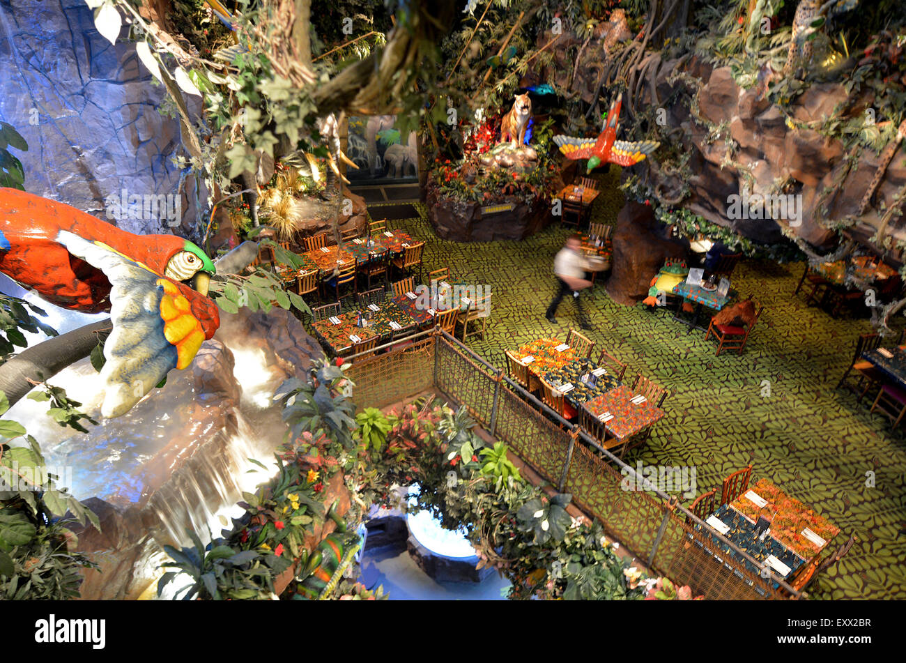 Tropical Themed High Resolution Stock Photography and Images - Alamy