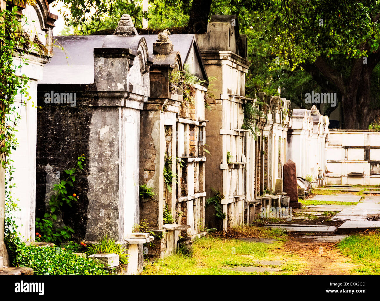 Tombs and mausoleums in old cemetery Stock Photo - Alamy