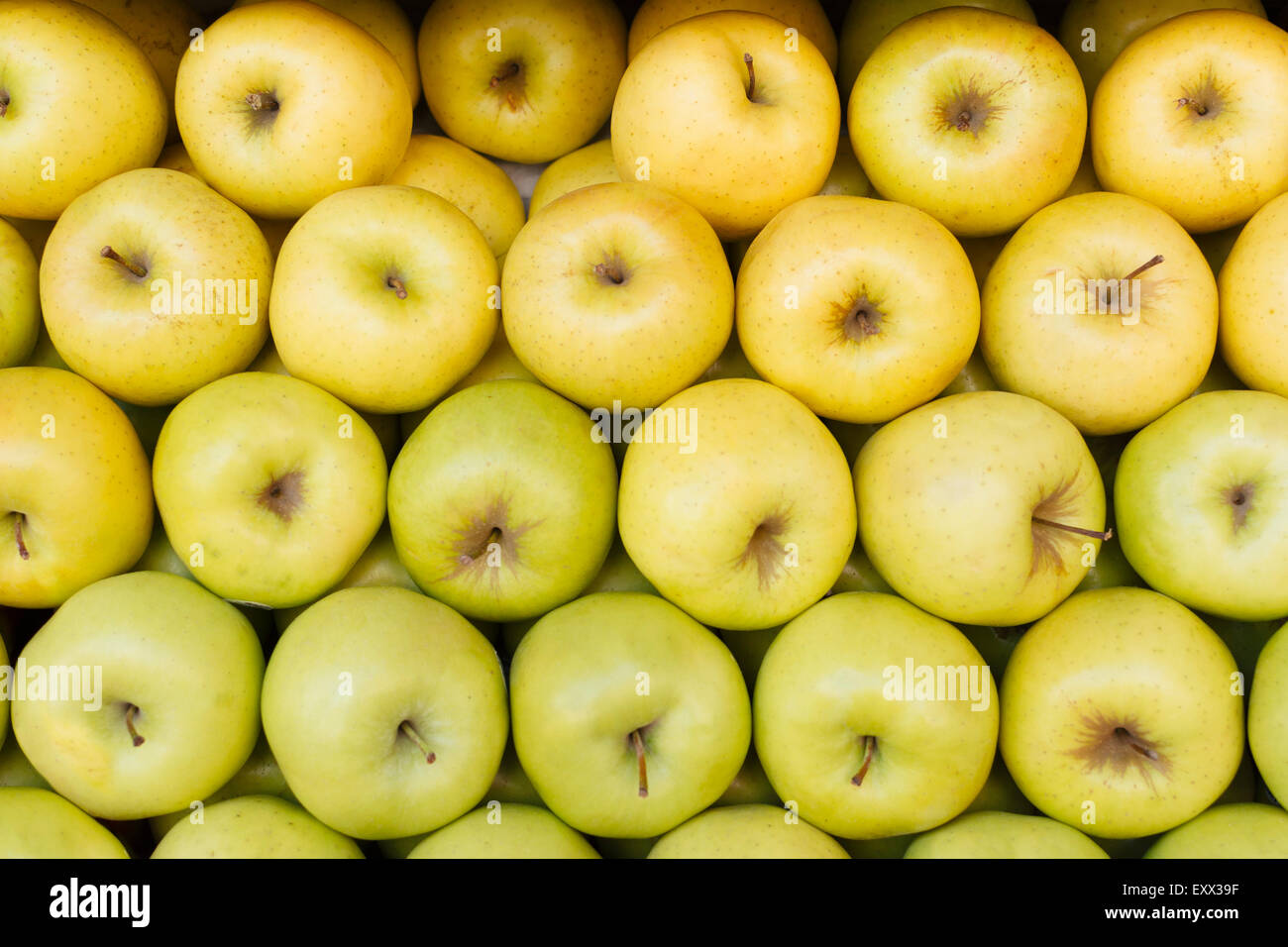 Close up of yellow apples Stock Photo - Alamy