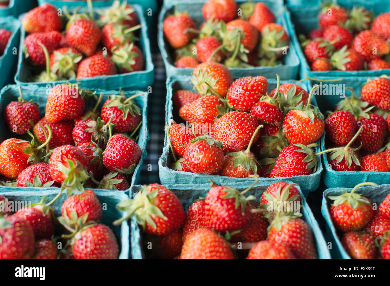 Crates of strawberries Stock Photo - Alamy