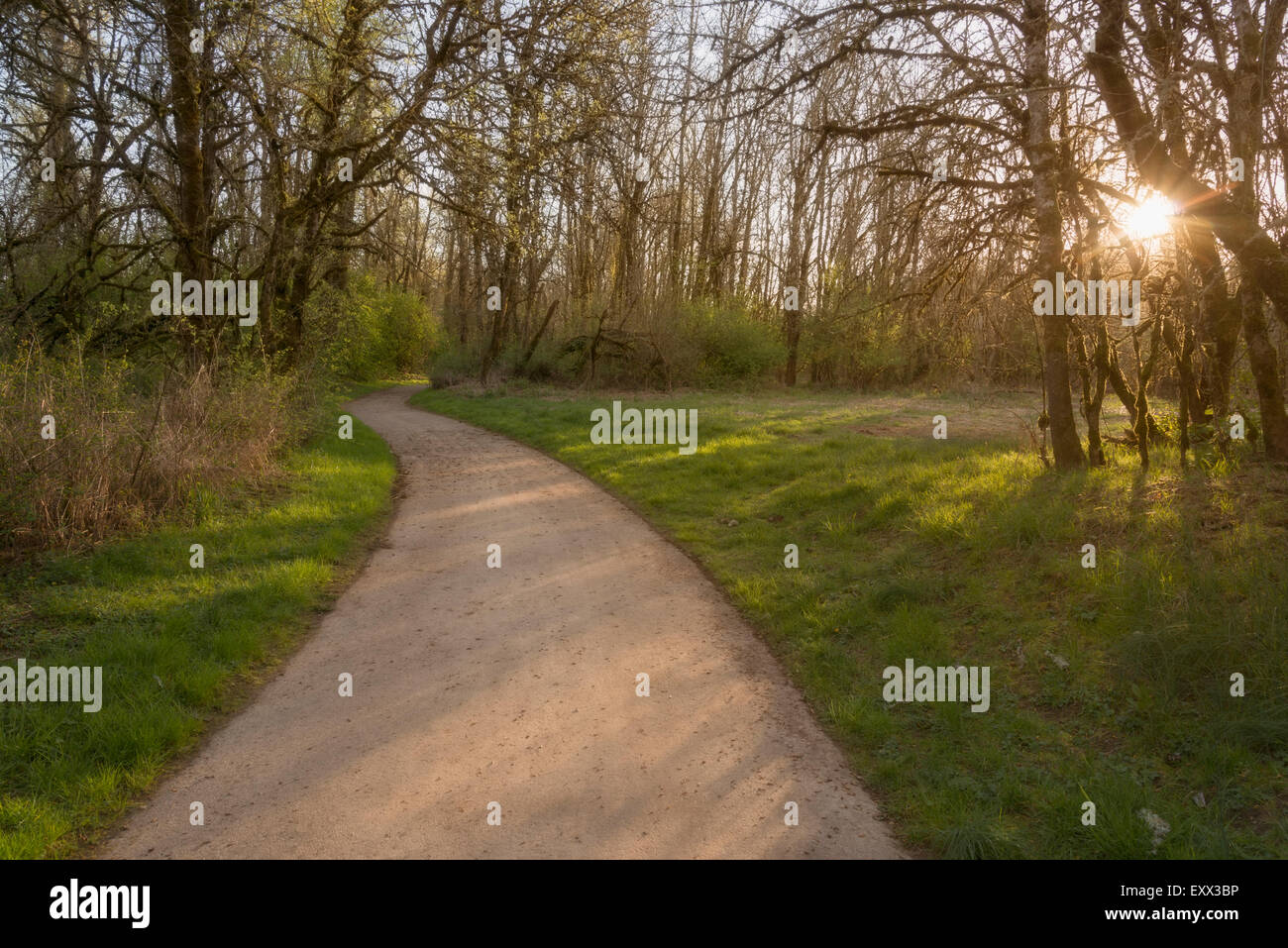 Footpath in park Stock Photo - Alamy