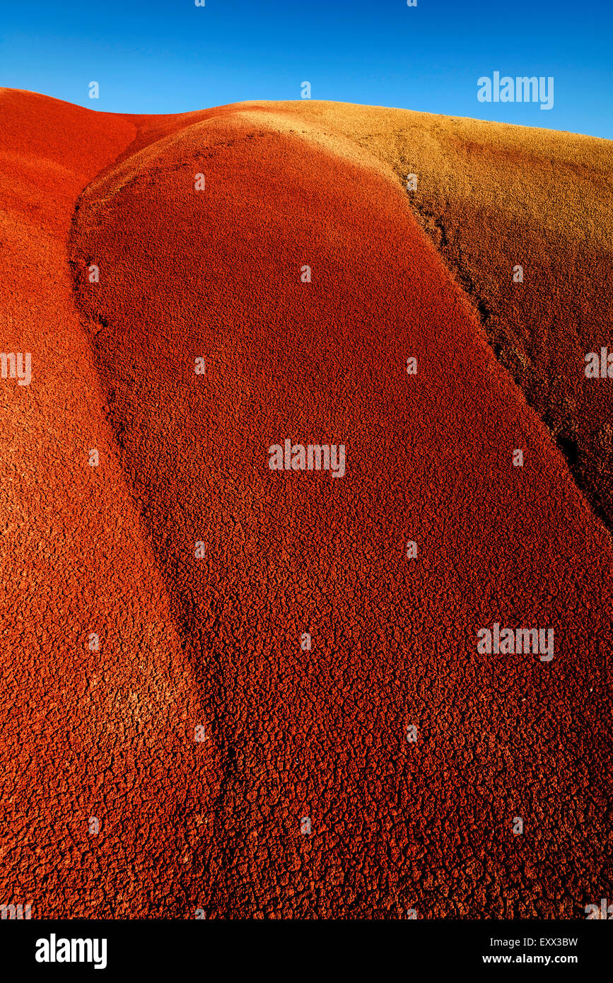 Sunny vertical daytime hi-res stock photography and images - Alamy