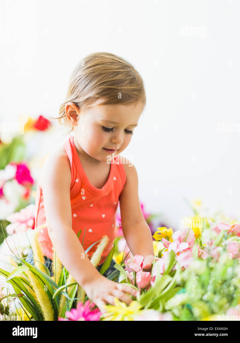 Little girl (2-3) playing with flowers Stock Photo - Alamy