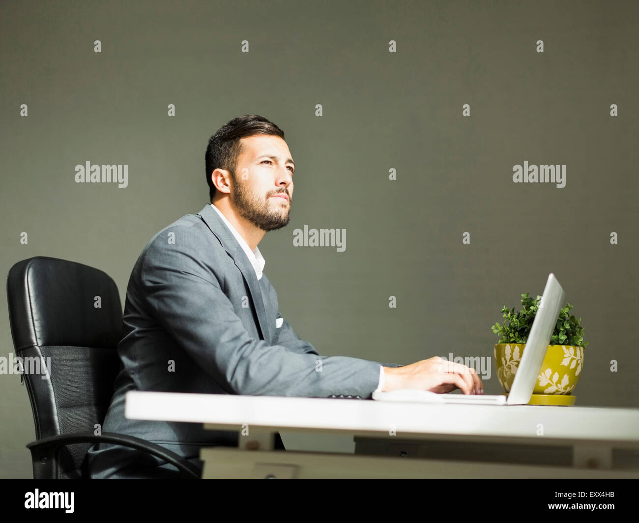 Using bristle hi-res stock photography and images - Alamy