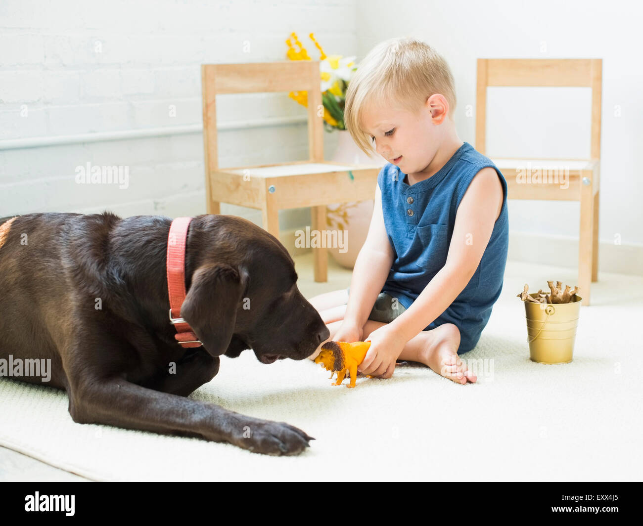 Children playing pets indoors hi-res stock photography and images - Alamy