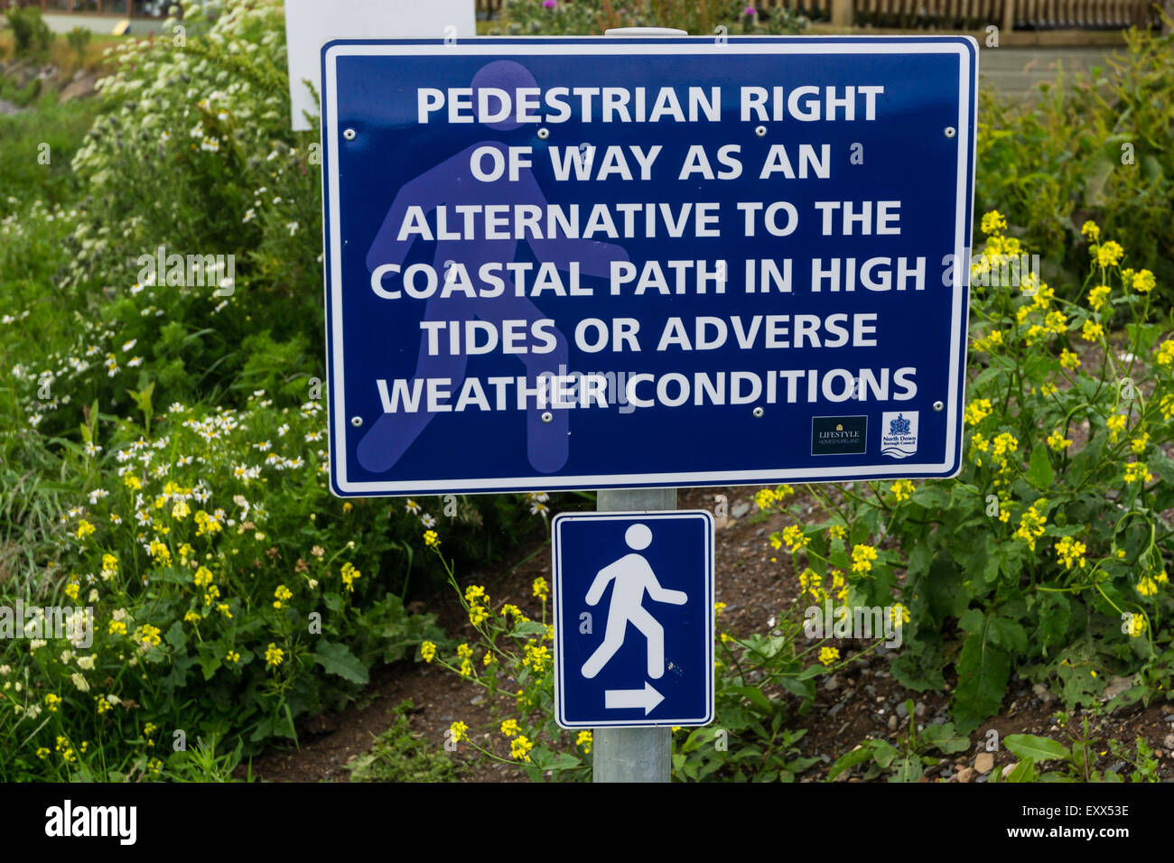 Pedestrian Right of Way sign Stock Photo - Alamy