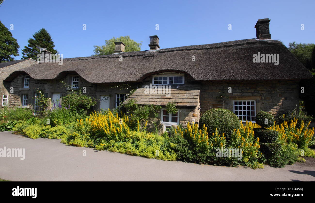 A traditional British thatched cottage in the English countryside, Peak ...