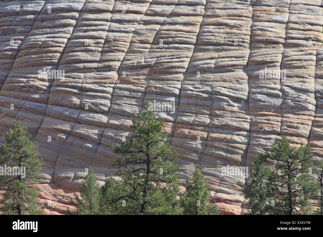 Checkerboard landscape hi-res stock photography and images - Alamy