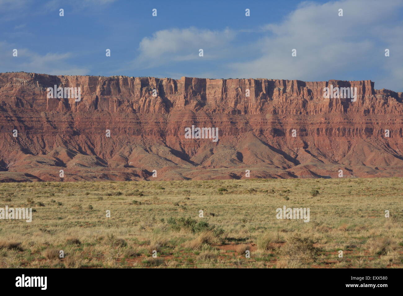 Desert Plateau Illustration