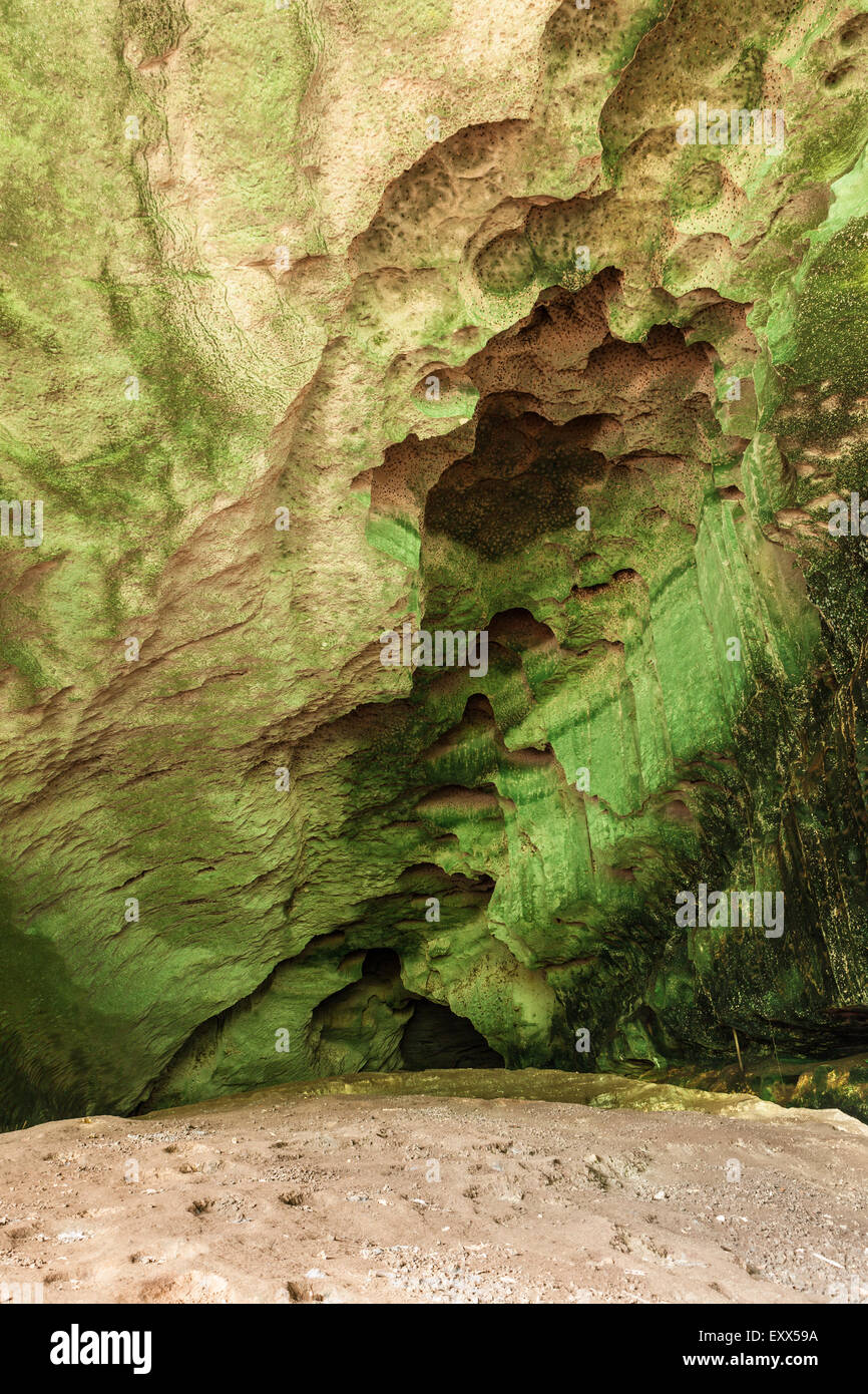 Cave roof in niah national park Stock Photo - Alamy