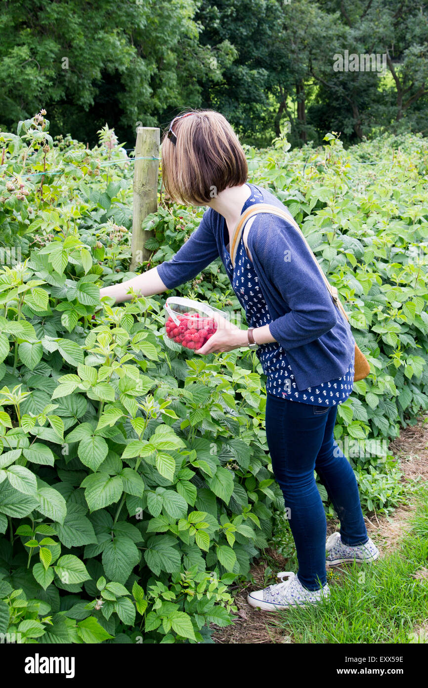 Pick your own hi-res stock photography and images - Alamy