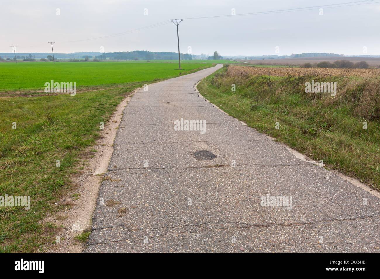 Asphalt rural road in countryside. Polish fields with asphalt road ...
