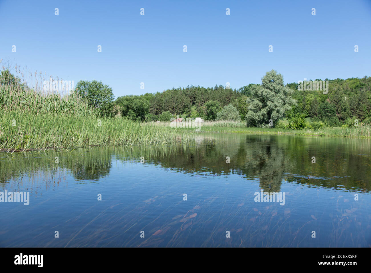 Calm water of The Vorskla River Stock Photo - Alamy