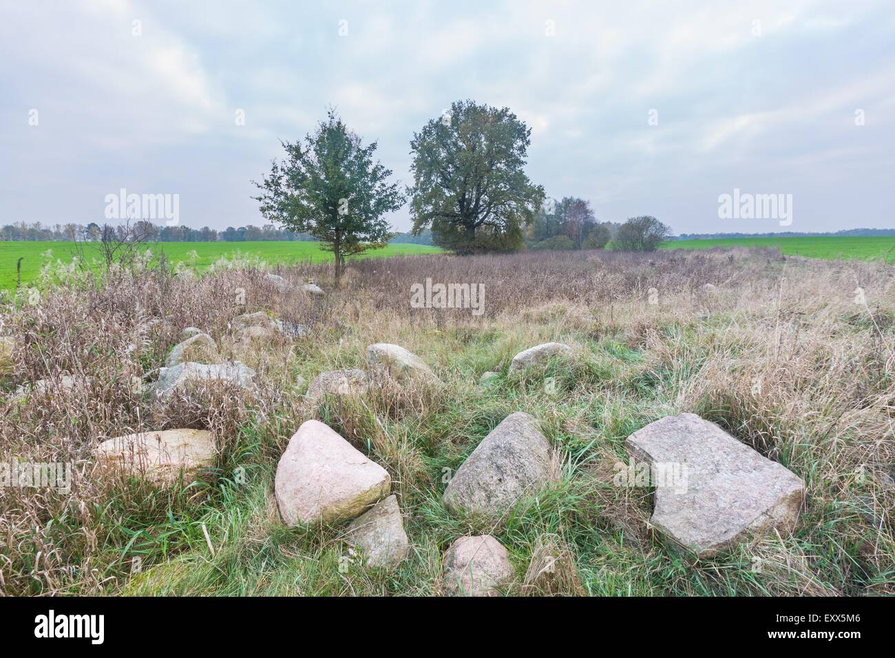 Landscape with fields and stones. Rural tranquil scene Stock Photo - Alamy