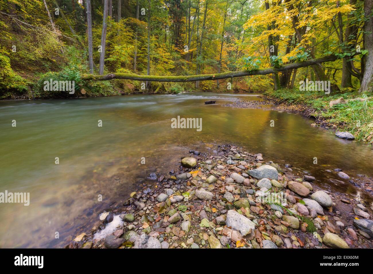 Beautiful wild river photographed in autumn. Natural tranquil scene of ...