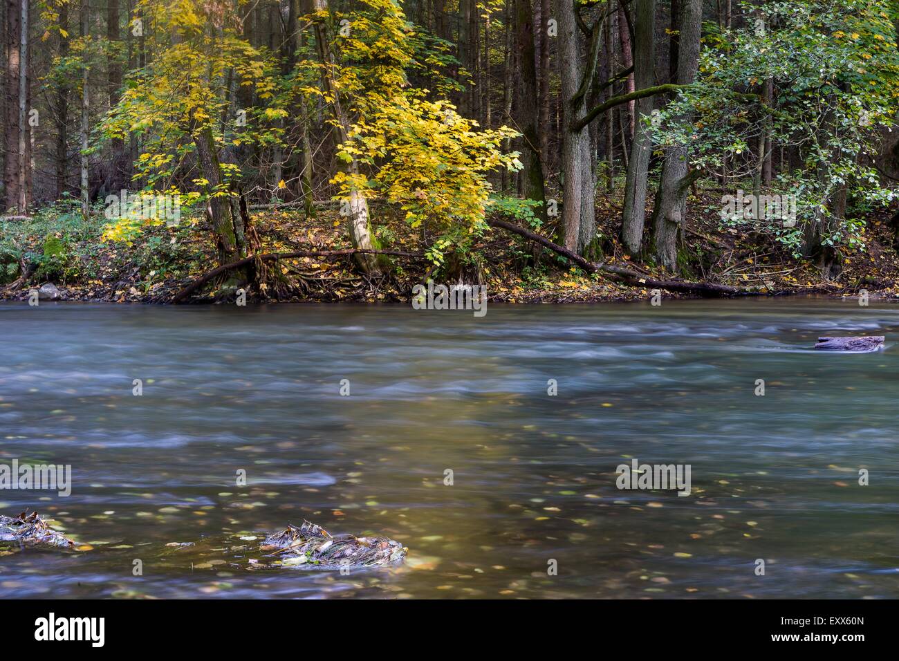 Beautiful wild river photographed in autumn. Natural tranquil scene of ...