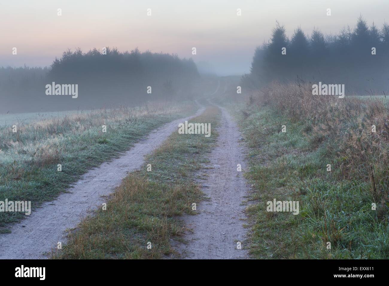 Beautiful morning landscape on countryside. Foggy and calm morning near ...